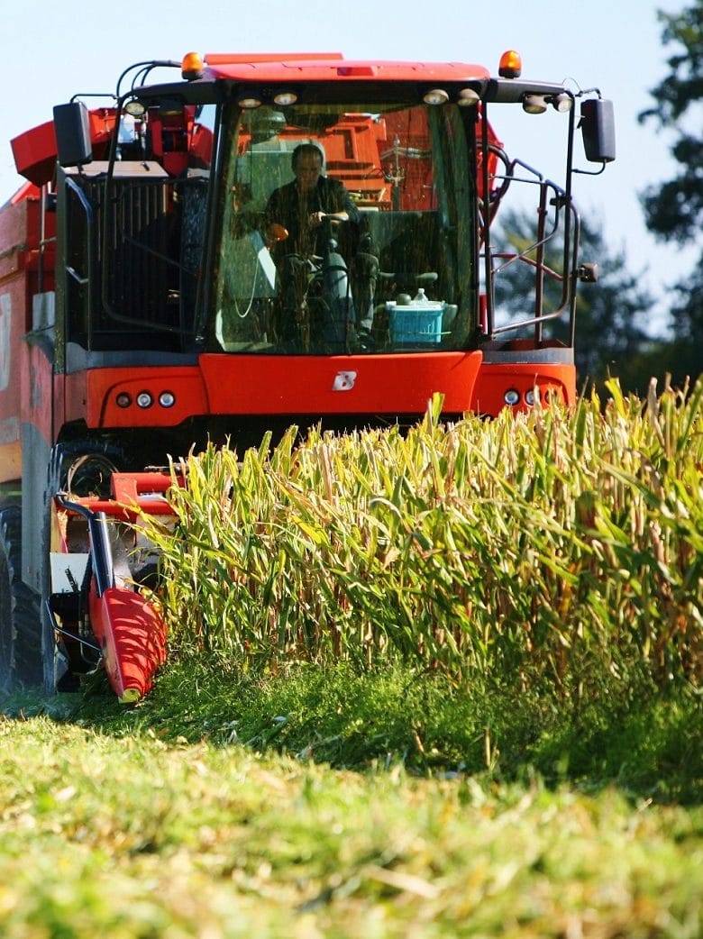 FNPSMS - Production de semences de maïs d'excellence en France - Maize ...