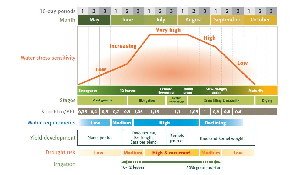 Irrigation - Maizeinfrance